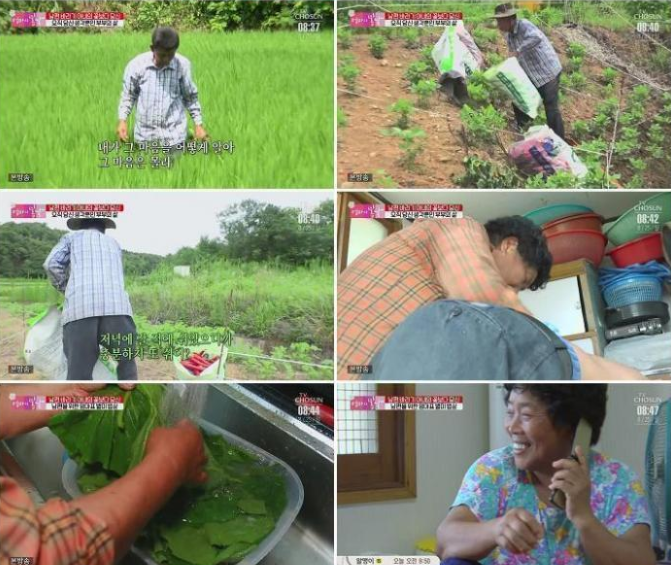 엄마의 봄날.E206.190825.720p-NEXT 저장 - 파일썬