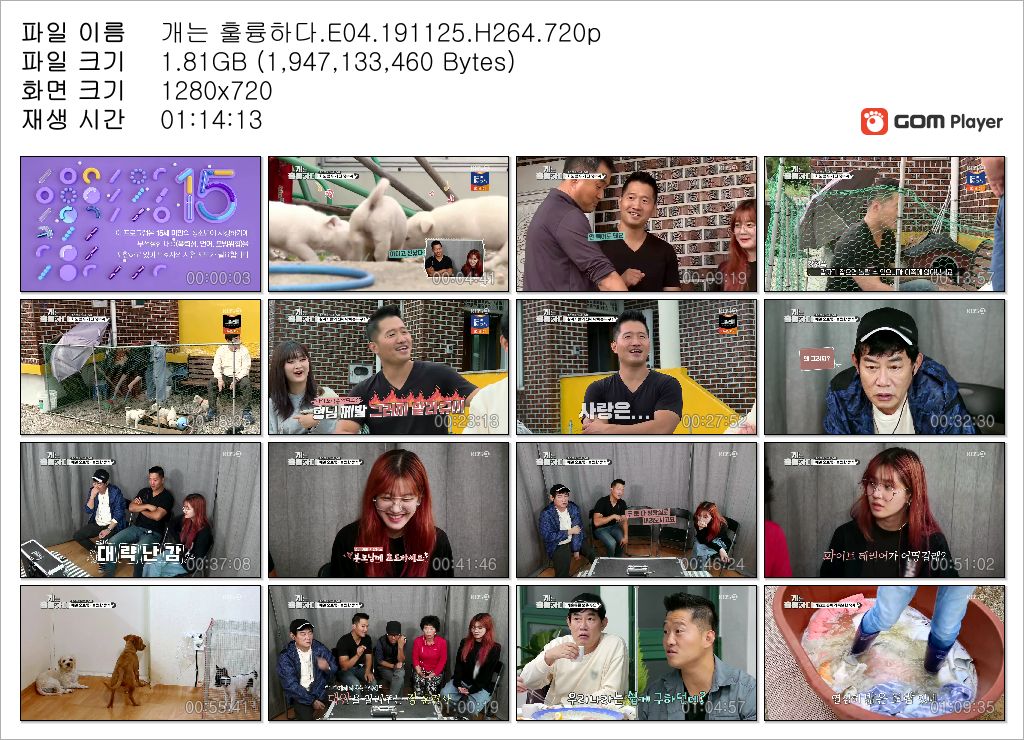 개는 훌륭하다.E04.191125.H264.720p 저장 - 파일썬