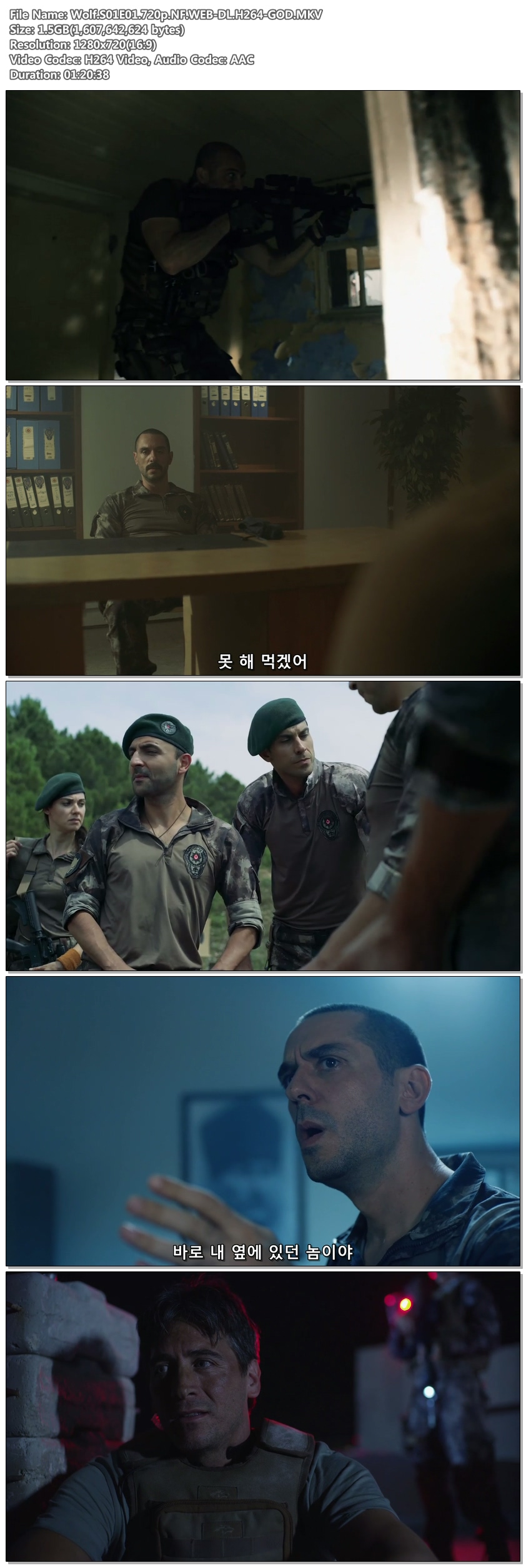 [미드] 울프 보루 시즌1 01화-06화[완] 한글자막 720p 전쟁액션스릴러 Wolf aka Boru 저장 - 파일썬