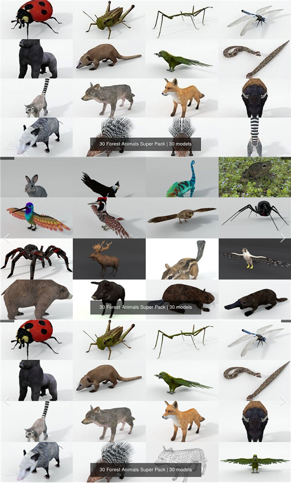 [모델링 소스] Cgtrader - 3D Model Collection 3 Mar 2019 저장 - 파일썬