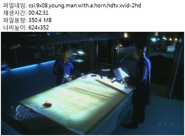 csi.9x08.young.man.with.a.horn,hdtv.xvid-2hd 저장 - 파일썬