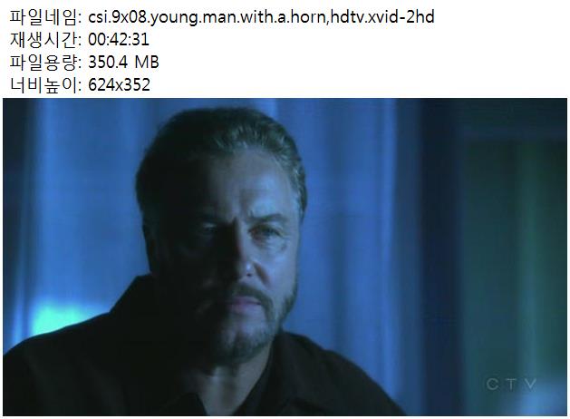 csi.9x08.young.man.with.a.horn,hdtv.xvid-2hd 저장 - 파일썬