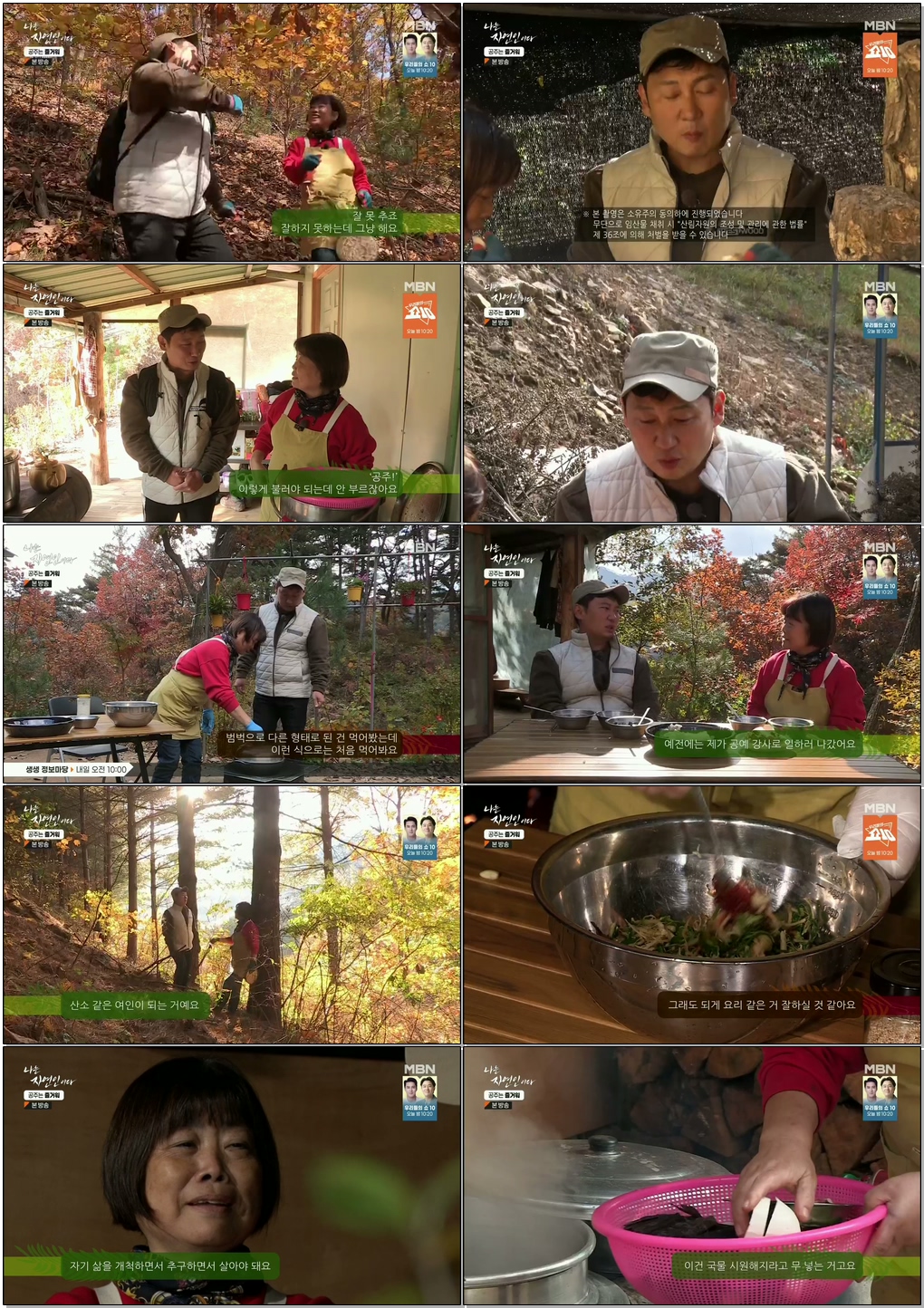 나는 자연인이다.E528.221116.720p.H264-F1RST 저장 - 파일썬