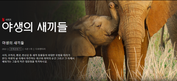 [넷플 완결] 야생의 새끼들 E01~E08. 완결. 2022.720p 저장 - 파일썬