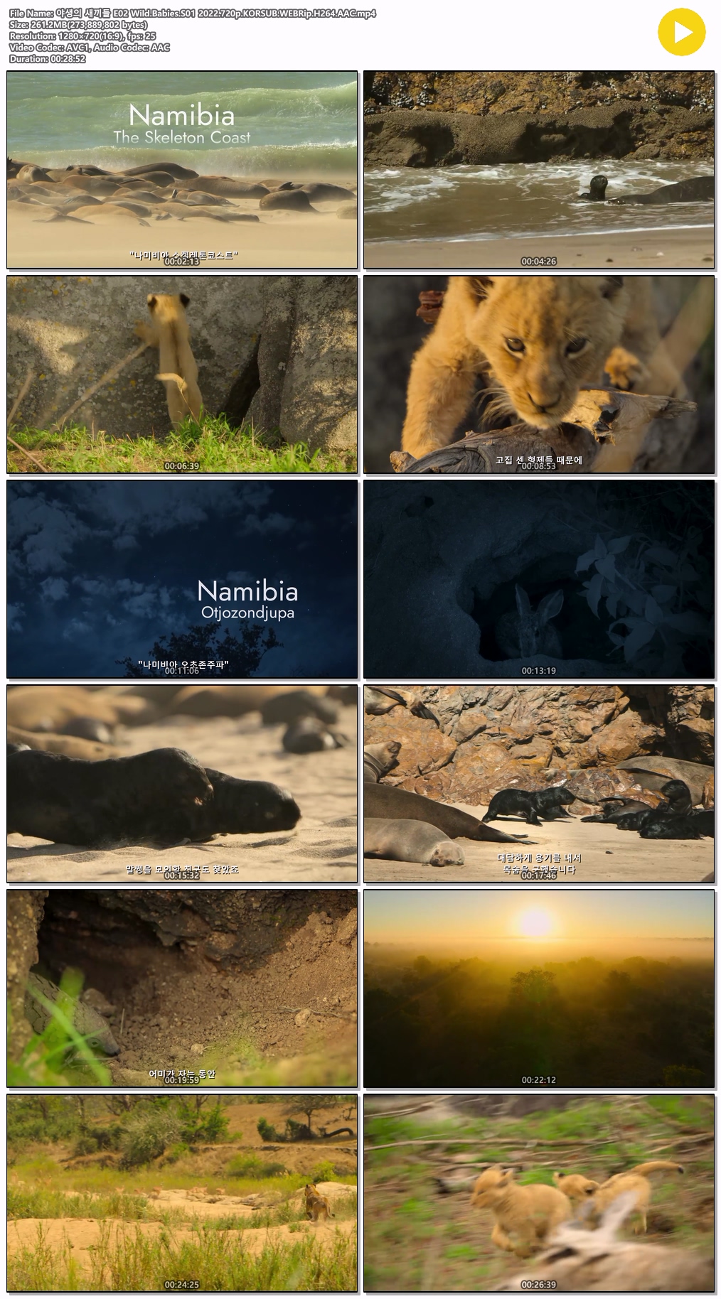 [넷플 완결] 야생의 새끼들 E01~E08. 완결. 2022.720p 저장 - 파일썬