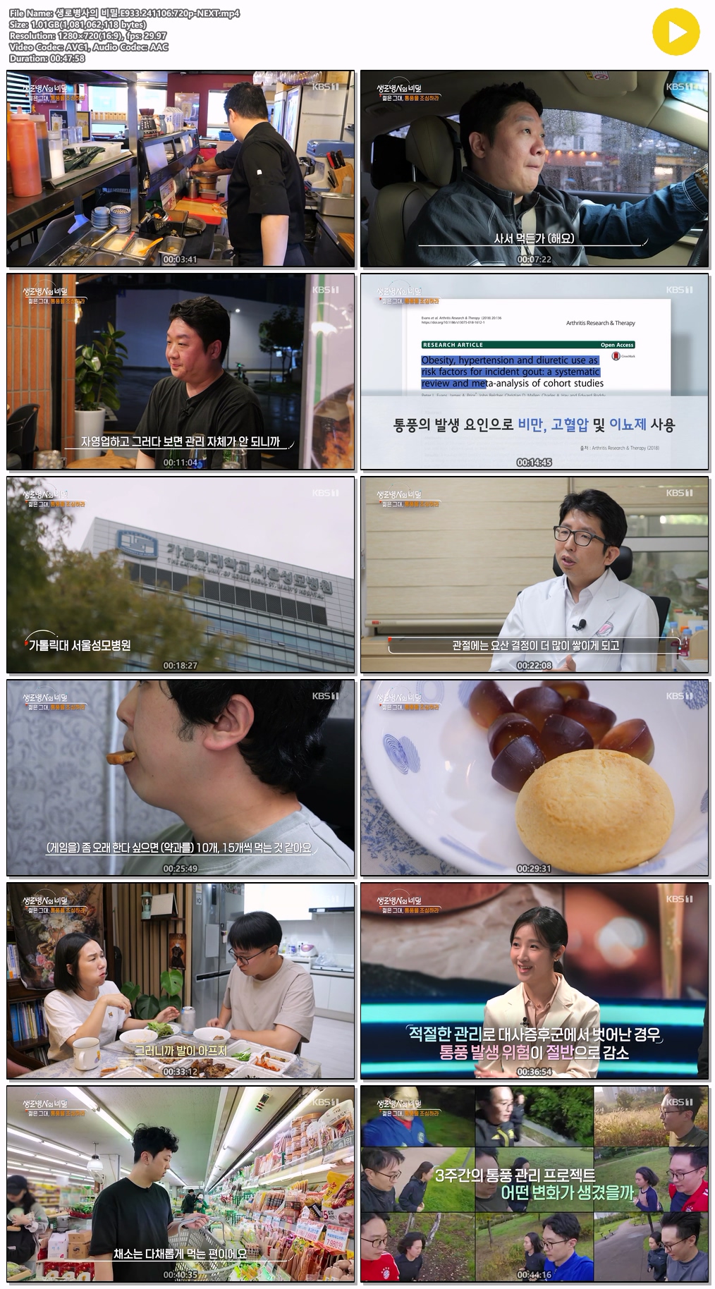 젊은 그대, 통풍을 조심하_ 생로병사의 비밀.E933.241106.720p-NEXT.mp4 저장 - 파일썬