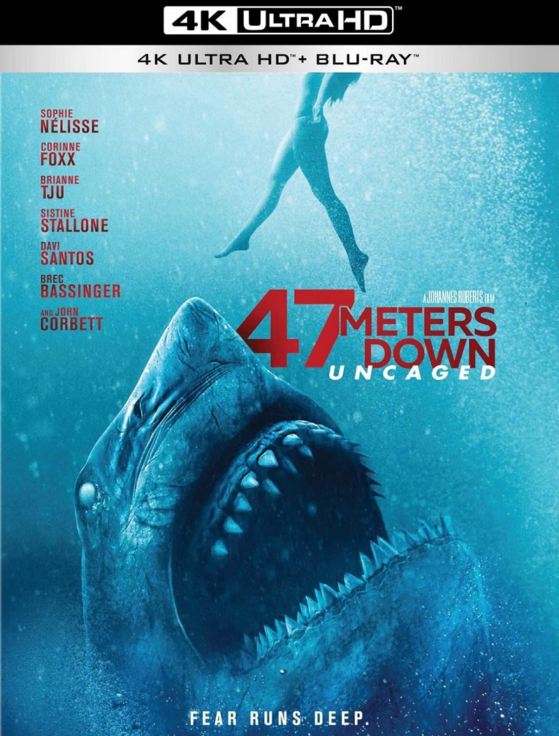 [HDT][4K UHD] 47미터2 [2160p 원본 REMUX] -소피 넬리스, 시스틴 로즈 스탤론- 저장 - 파일썬