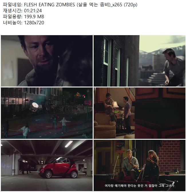 FLESH EATING ZOMBIES (살을 먹는 좀비)_x265 (720p) 저장 - 파일썬