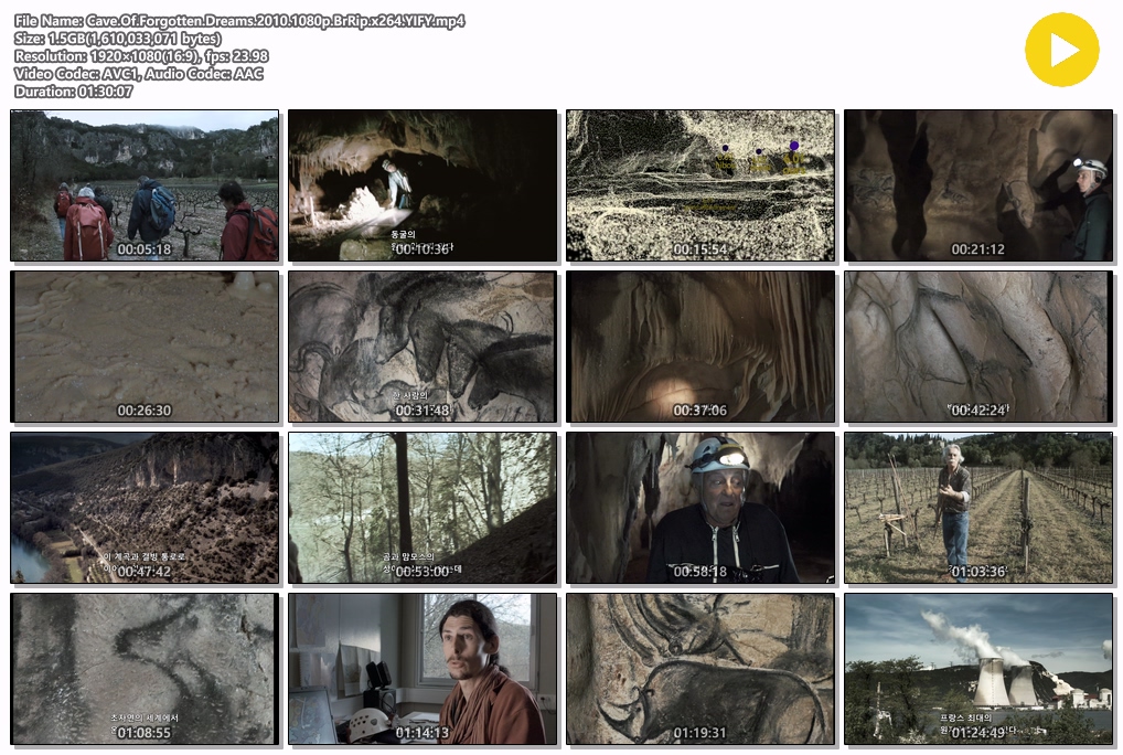 잊혀진 꿈의 동굴.Cave of Forgotten Dreams.2010-한글 저장 - 파일썬