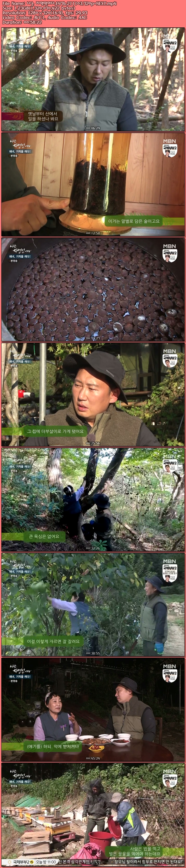 나는 자연인이다.E476.211103.720p-NEXT 저장 - 파일썬